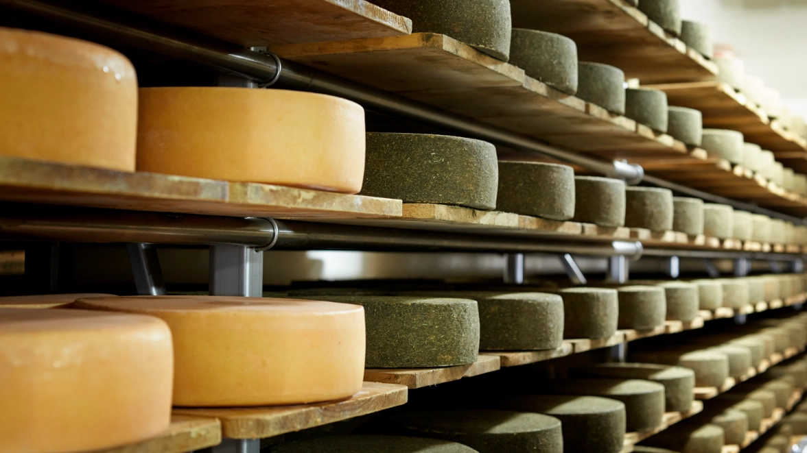 Qualität und Geschmack - Bio Suisse