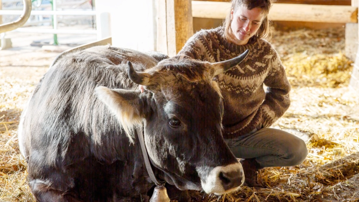 Rollen fair verteilen in der Landwirtschaft