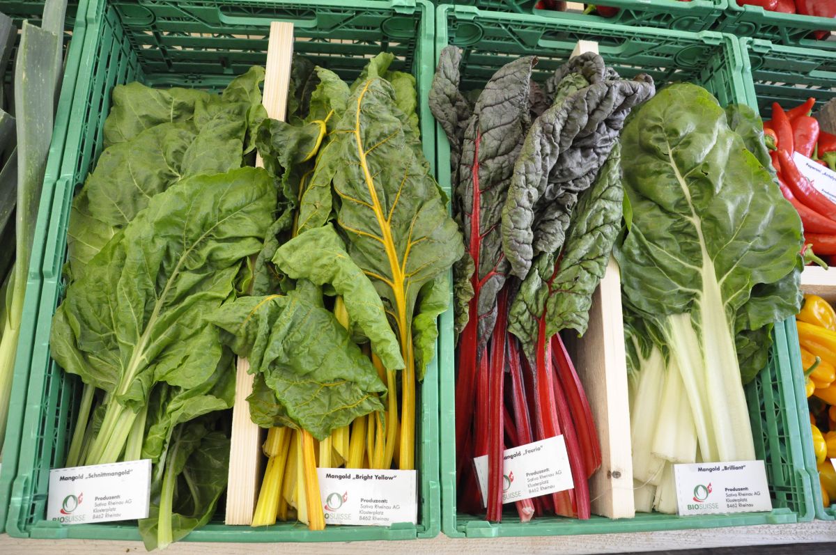 Fotothek - Bio Suisse