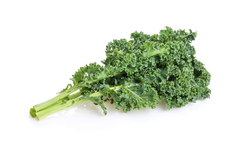 Bio Suisse Saisonkalender für Gemüse, Obst und Fleisch