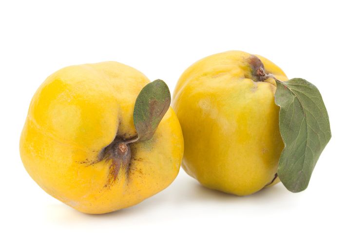 Bio Suisse Saisonkalender für Gemüse, Obst und Fleisch