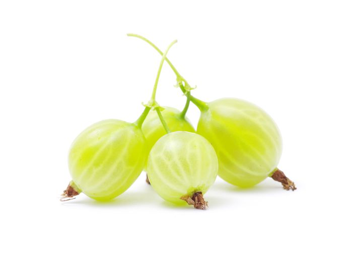 Bio Suisse Saisonkalender für Gemüse, Obst und Fleisch