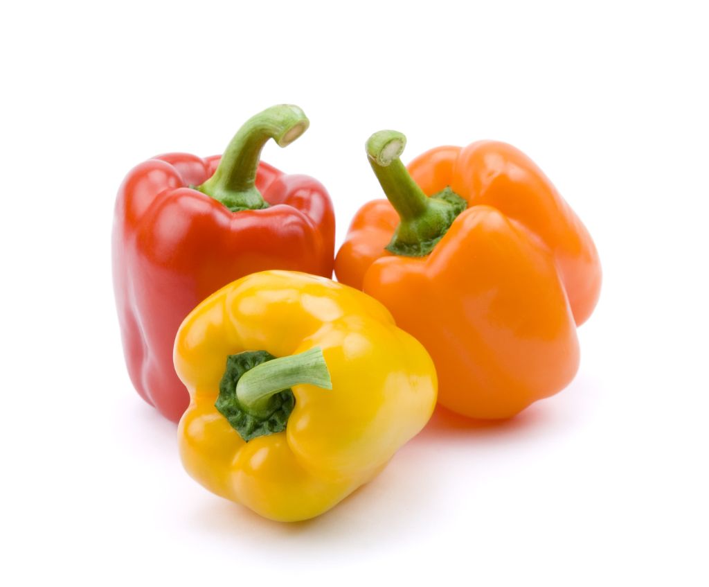 Bio Suisse Saisonkalender für Gemüse, Obst und Fleisch