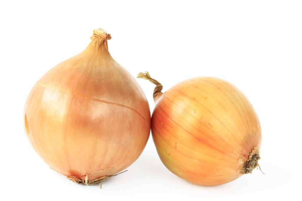 Bio Suisse Saisonkalender für Gemüse, Obst und Fleisch